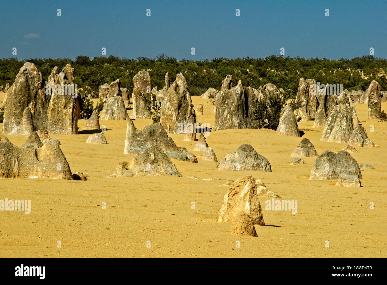 The Pinnacles Nambung National Park Western Australia limestone ...