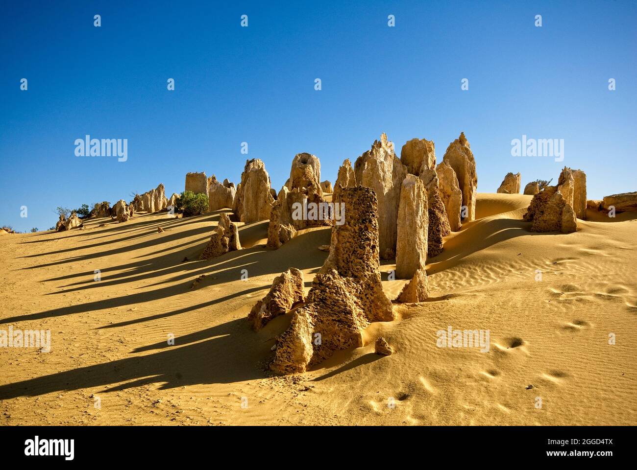 The Pinnacles Nambung National Park Western Australia limestone ...