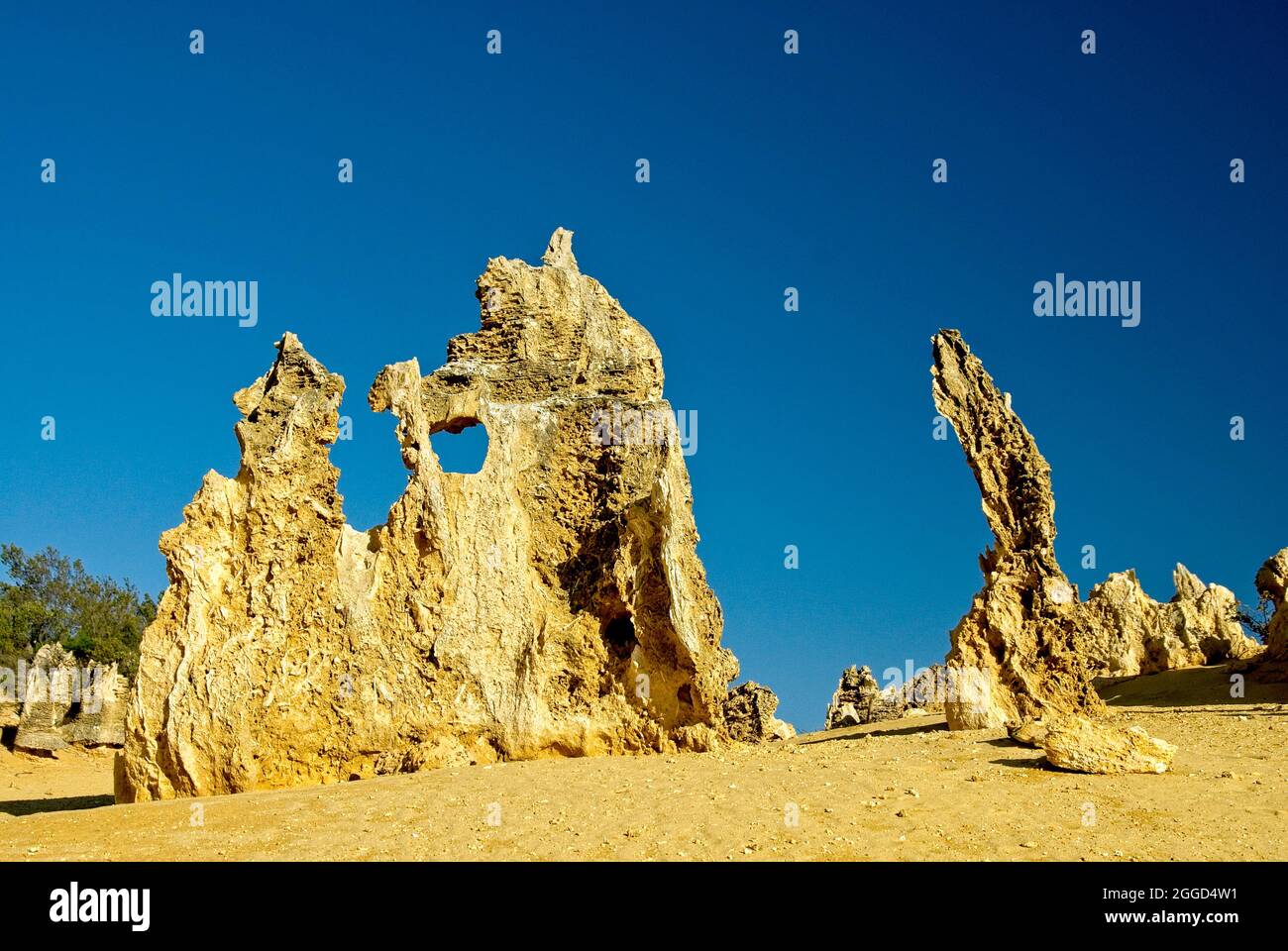 The Pinnacles Nambung National Park Western Australia limestone ...