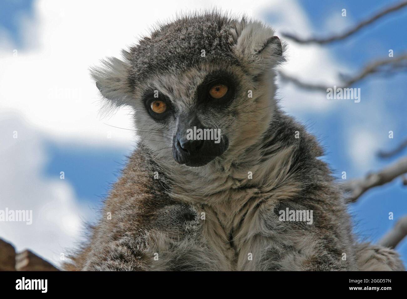 Greece and madagascar hi-res stock photography and images - Alamy