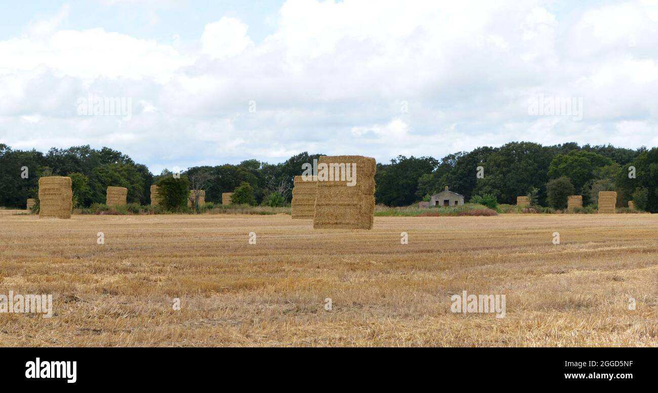 Bails in a field hi-res stock photography and images - Alamy