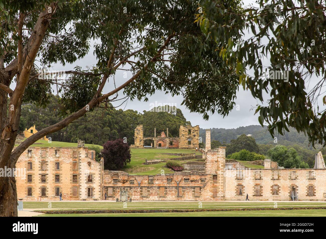 Ruins at the Port Arthur Historic Site surrounded by greenery in ...
