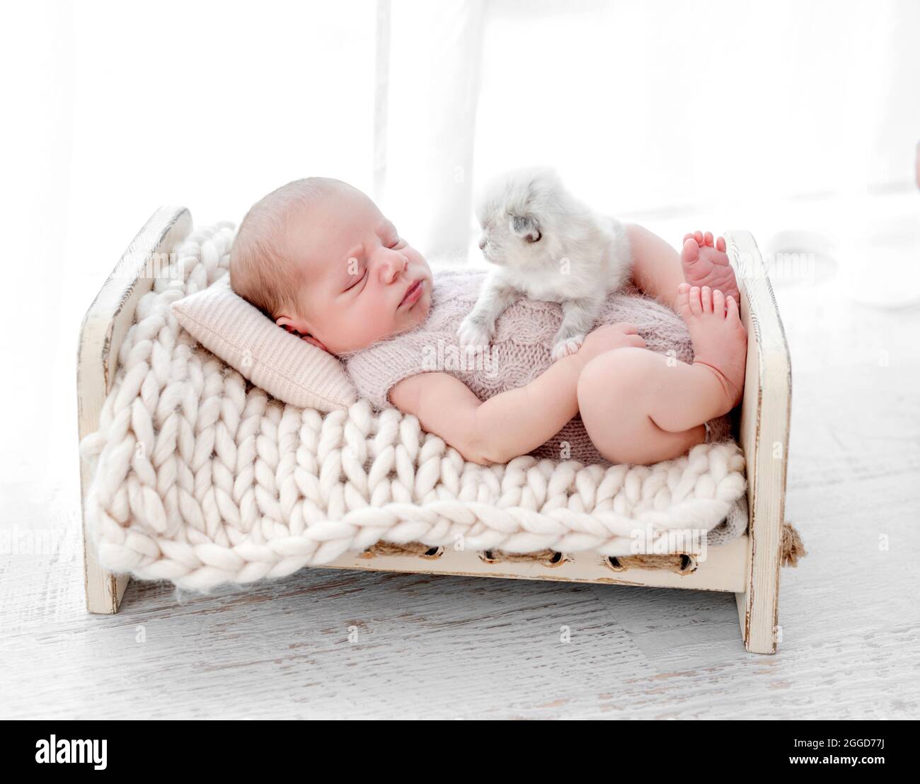 Newborn kittens sleeping with cat hi-res stock photography and images ...