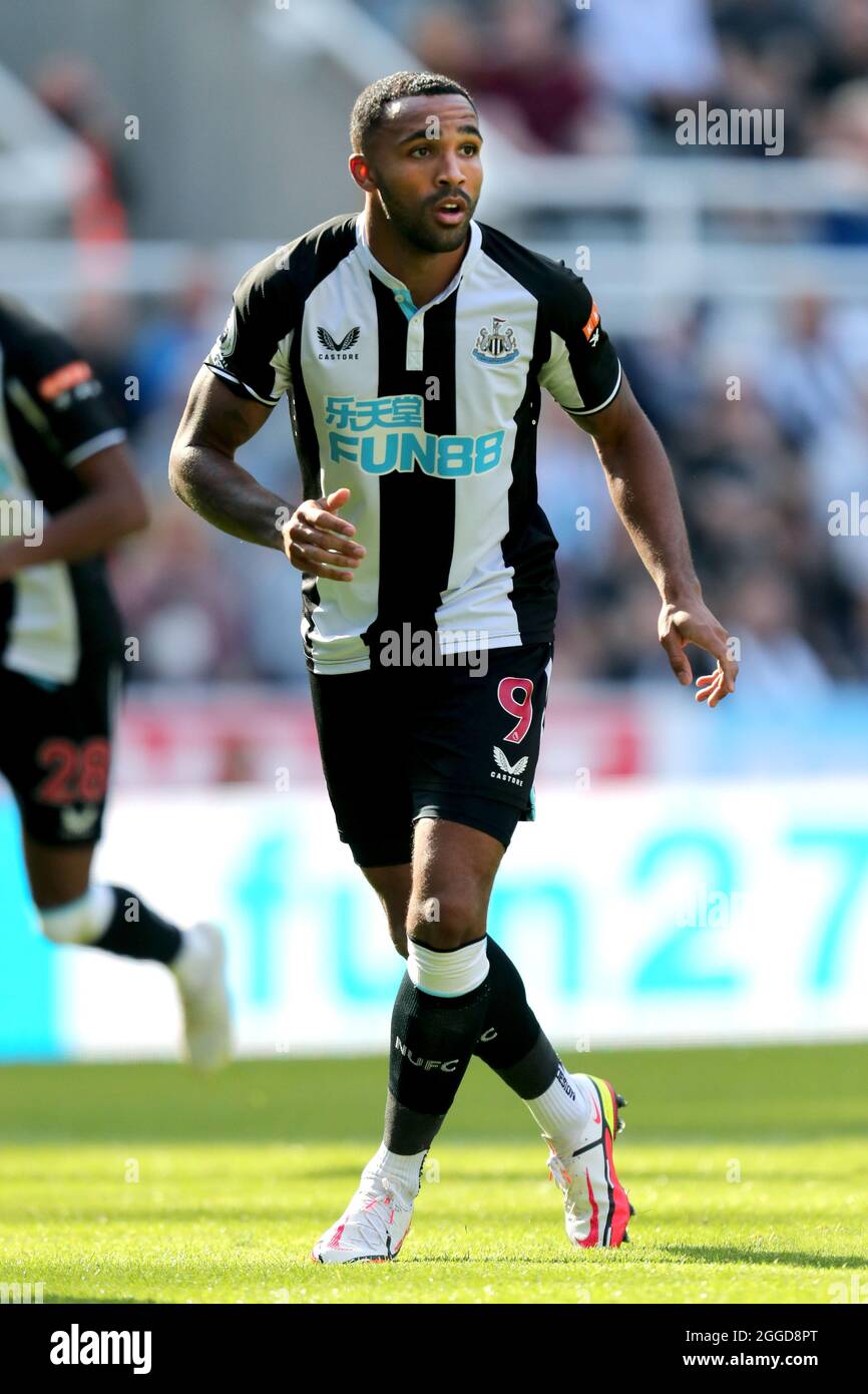 Callum wilson england hi-res stock photography and images - Alamy