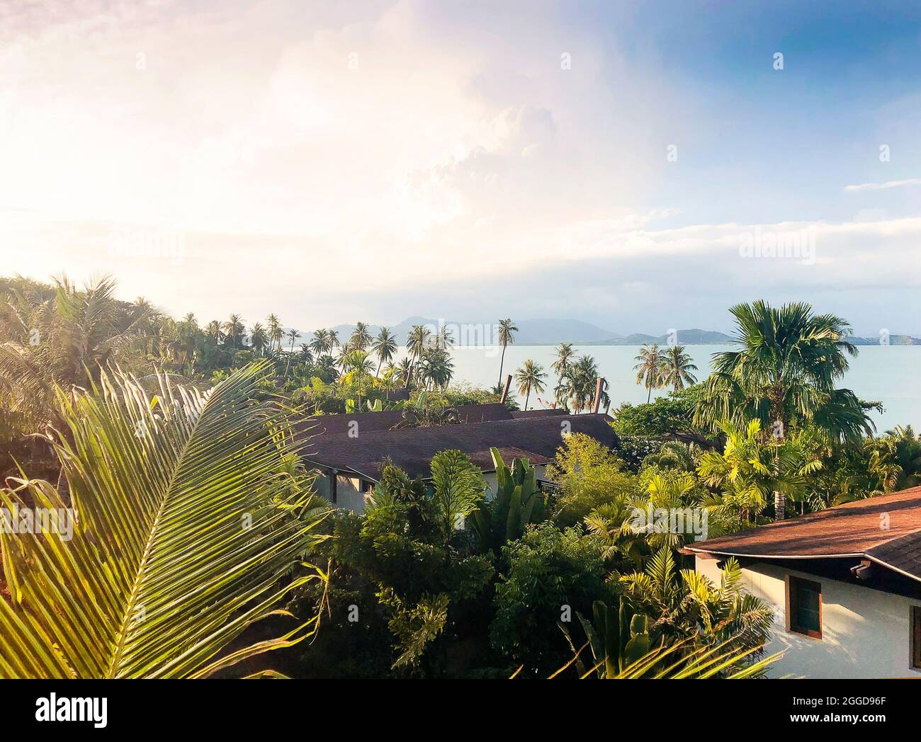 Aerial view of red roofs of houses, palms and ocean. Tropical landscape ...