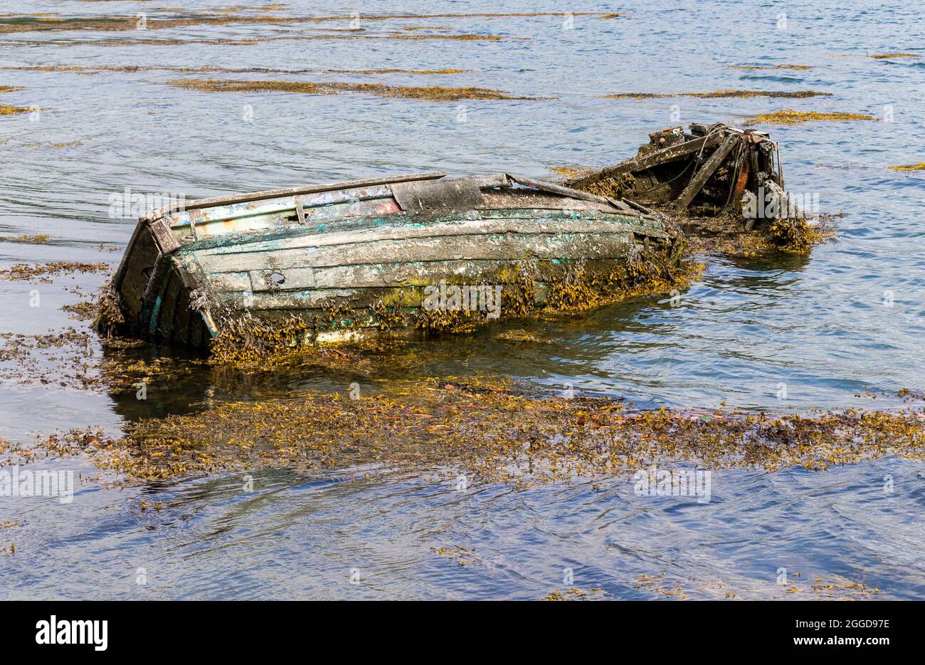 Derelict boat covered in seaweed hi-res stock photography and images ...