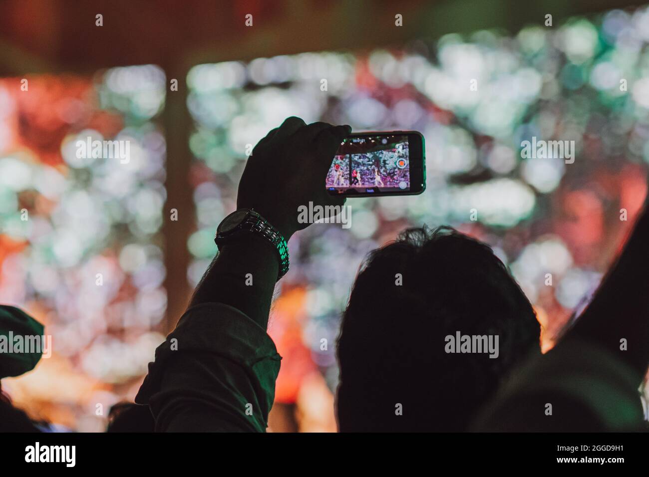 Adult Hold Smartphone and Taking Photo and Video at the Evening Concert ...