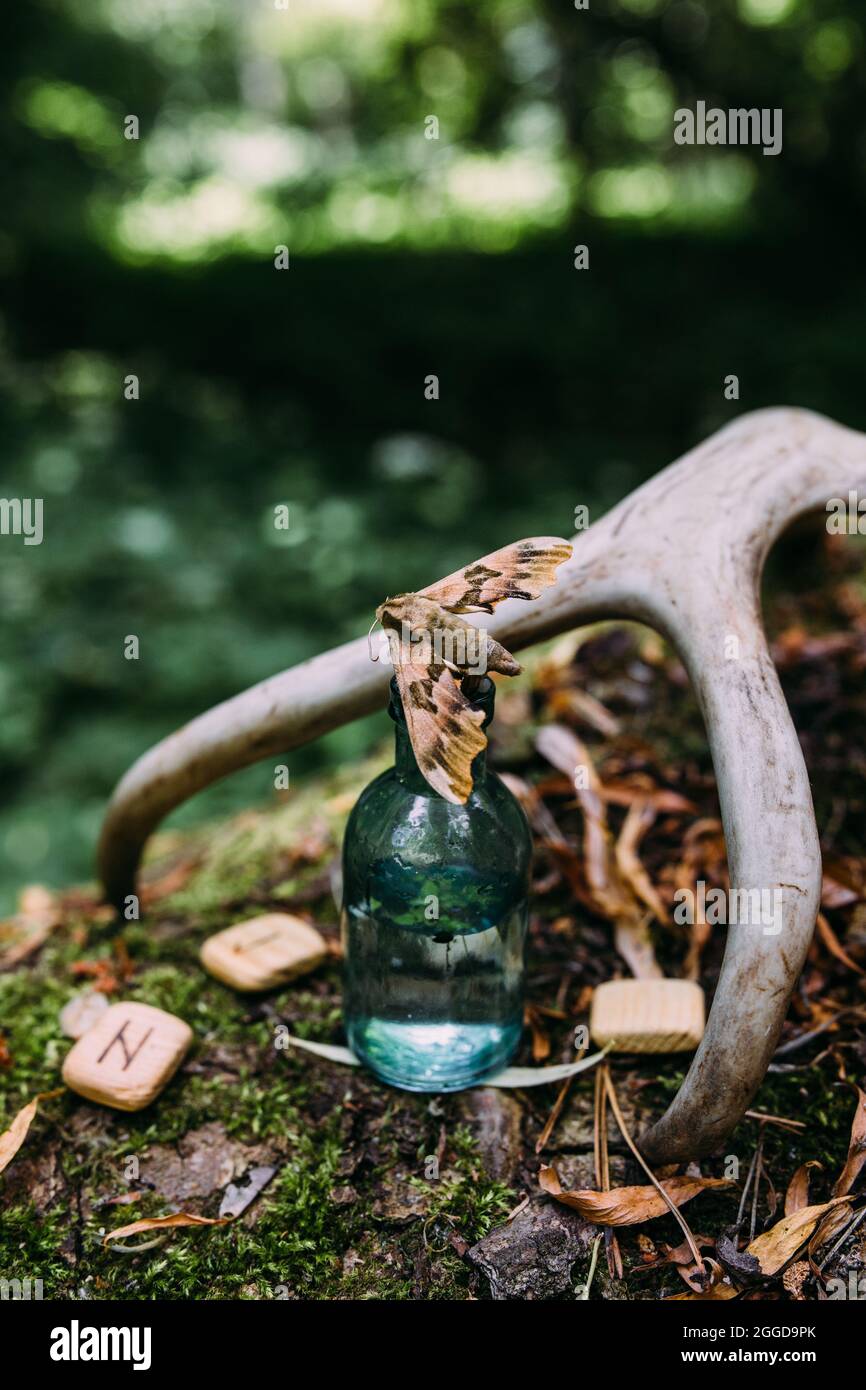 Glass bottles are filled with magic ingredients, potion. Mysterious ...