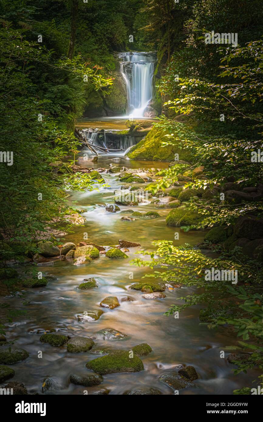 The Geroldsau Waterfall (German: Geroldsauer Wasserfall) is a roughly ...