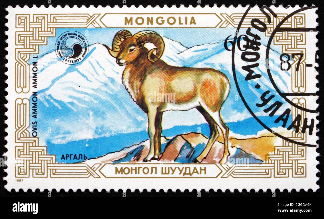 MONGOLIA - CIRCA 1987: a stamp printed in Mongolia shows Mountain Sheep ...