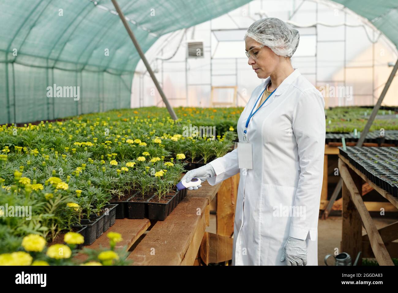 Scientist research in nature hi-res stock photography and images - Alamy