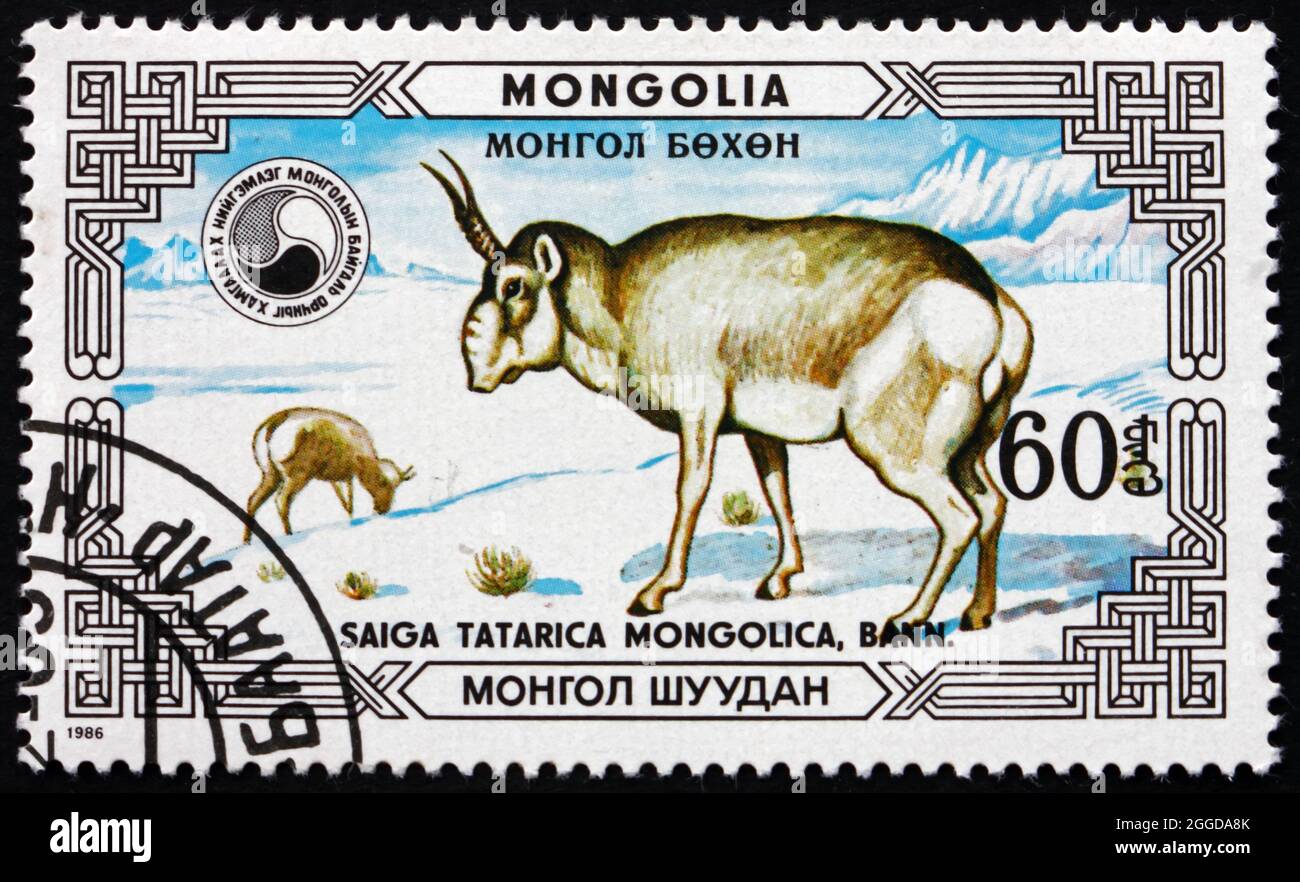 MONGOLIA - CIRCA 1986: a stamp printed in Mongolia shows Saiga Antelope ...