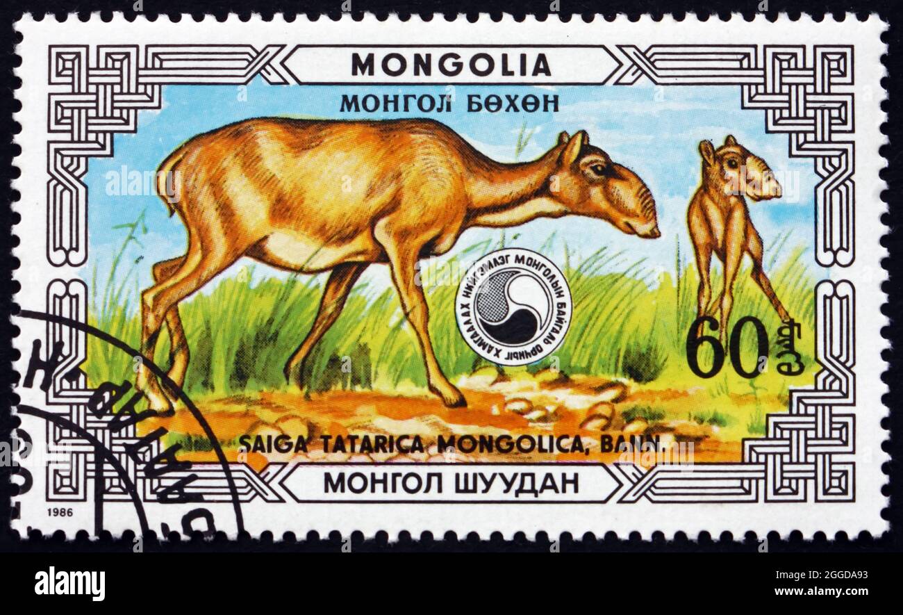 MONGOLIA - CIRCA 1986: a stamp printed in Mongolia shows Saiga Antelope ...