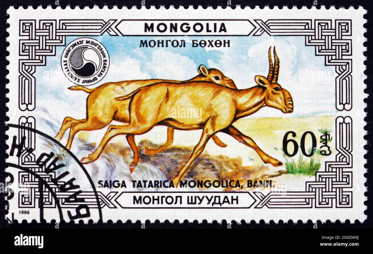 MONGOLIA - CIRCA 1986: a stamp printed in Mongolia shows Saiga Antelope ...