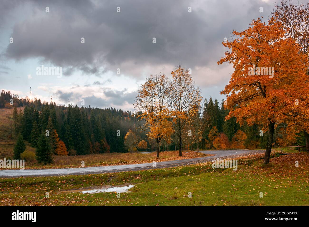 autumn countryside scenery in mountains. trees in colorful foliage by ...