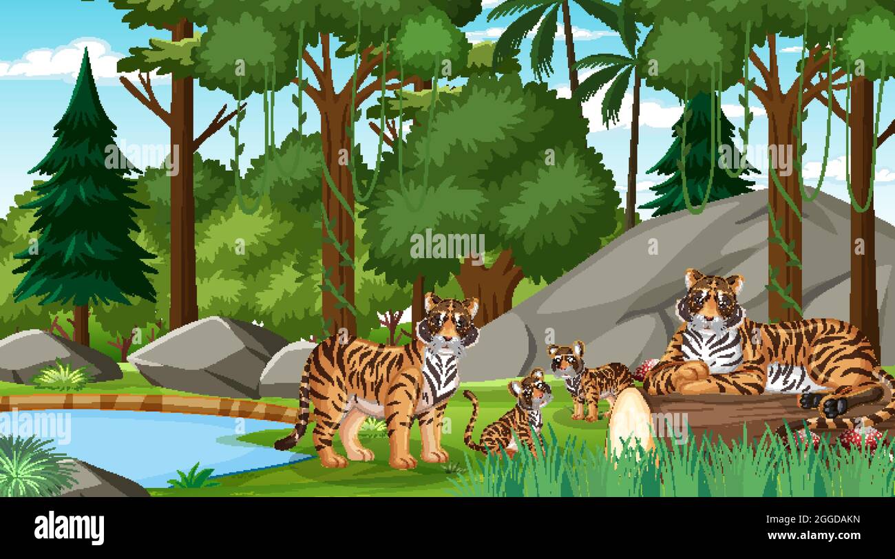 Tiger family in forest or rainforest scene with many trees illustration Stock Vector Image & Art ...