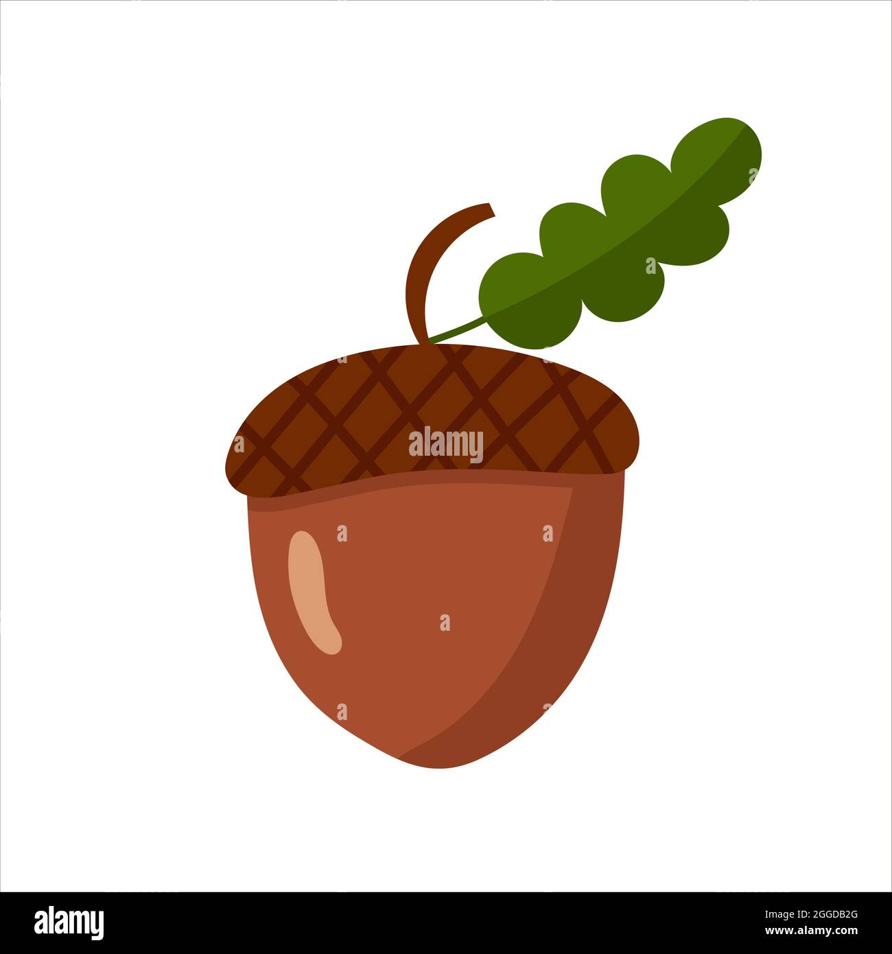 Acorn Isolated Flat Vector Illustration Stock Vector Image And Art Alamy