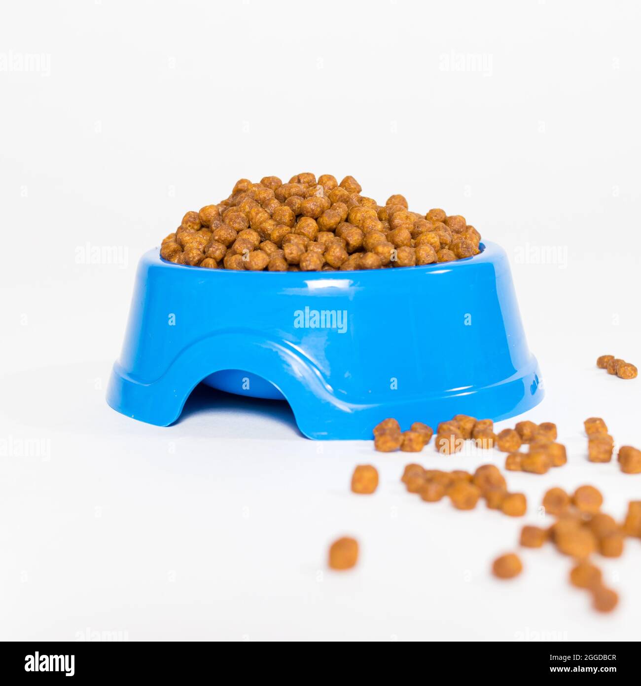 Blue plate with dry food for animal on a white background isolate ...