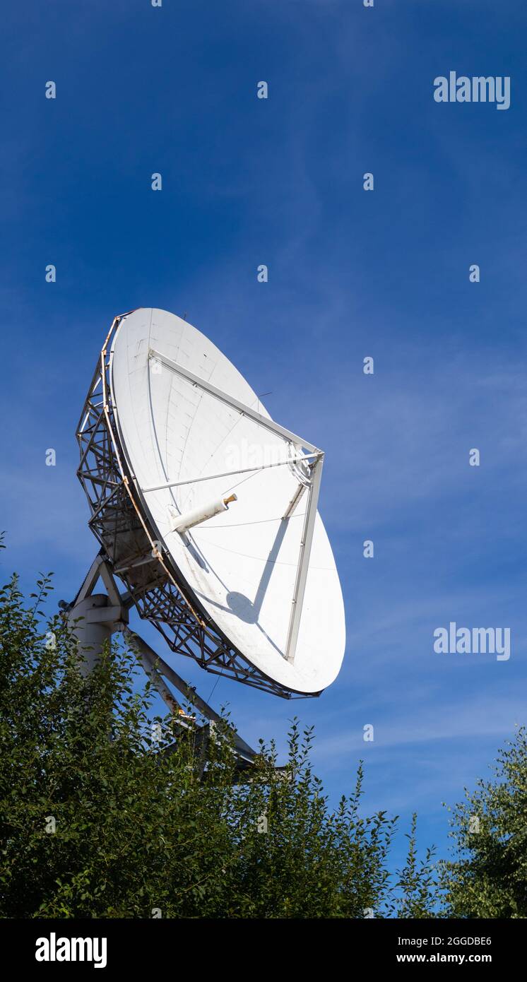Big white satellite dish on a blue sky with tree branches in the ...