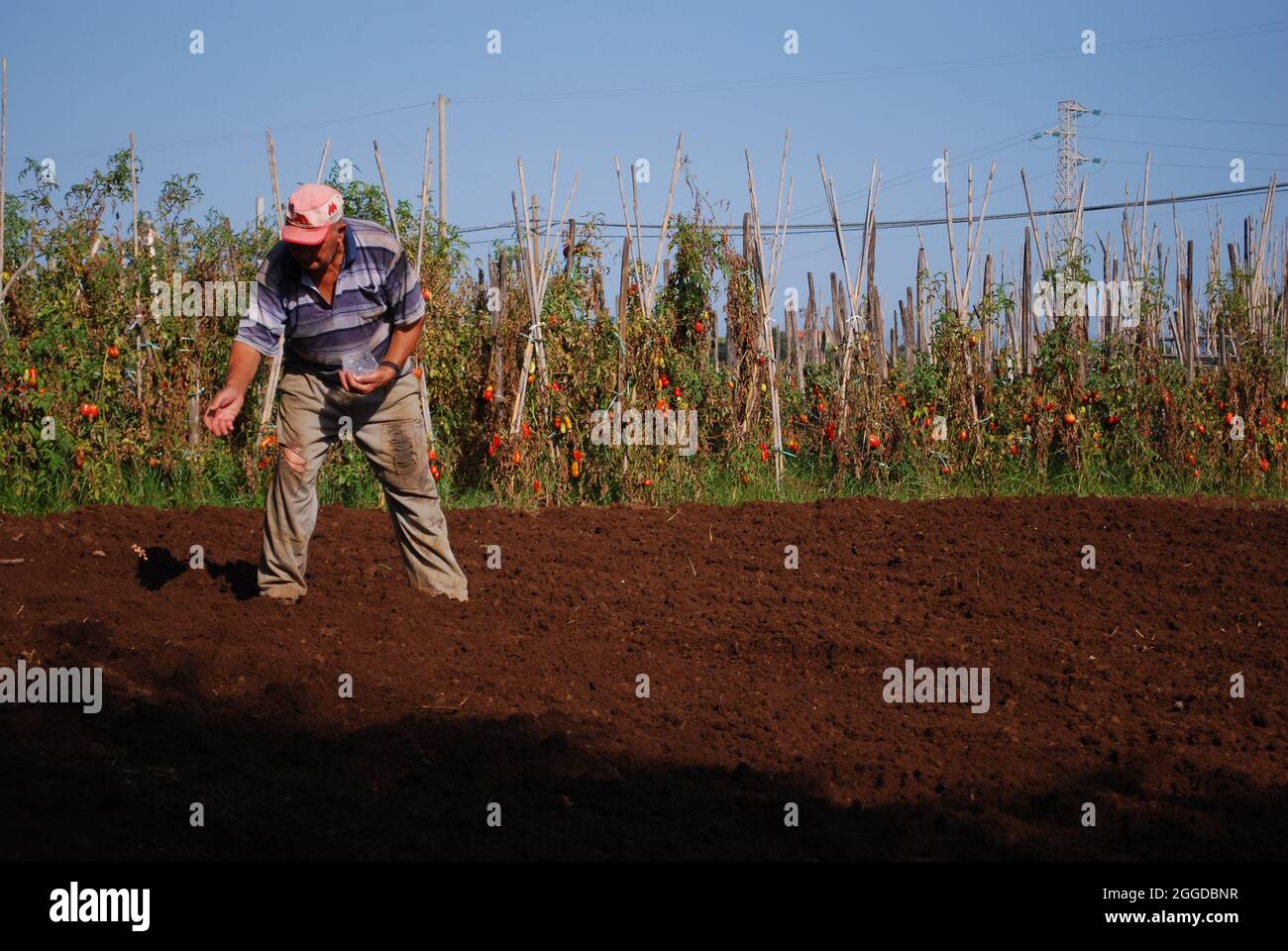 Coltivare hi-res stock photography and images - Alamy