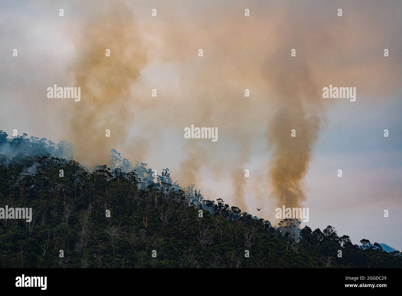 Backfire hi-res stock photography and images - Alamy