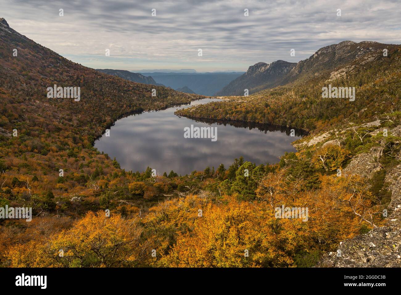 Beautiful autumn view in Lake Hanson in Cradle Mountain, Tasmania ...