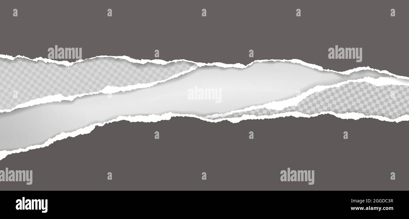 Torn, ripped dark grey paper strips with soft shadow are on white ...