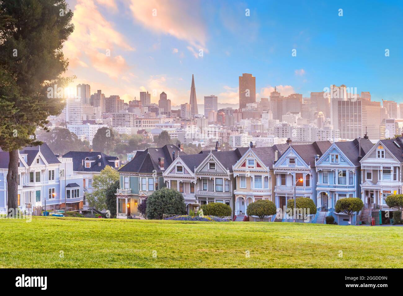 Famous Alamo Square in San Francisco, California USA Stock Photo - Alamy