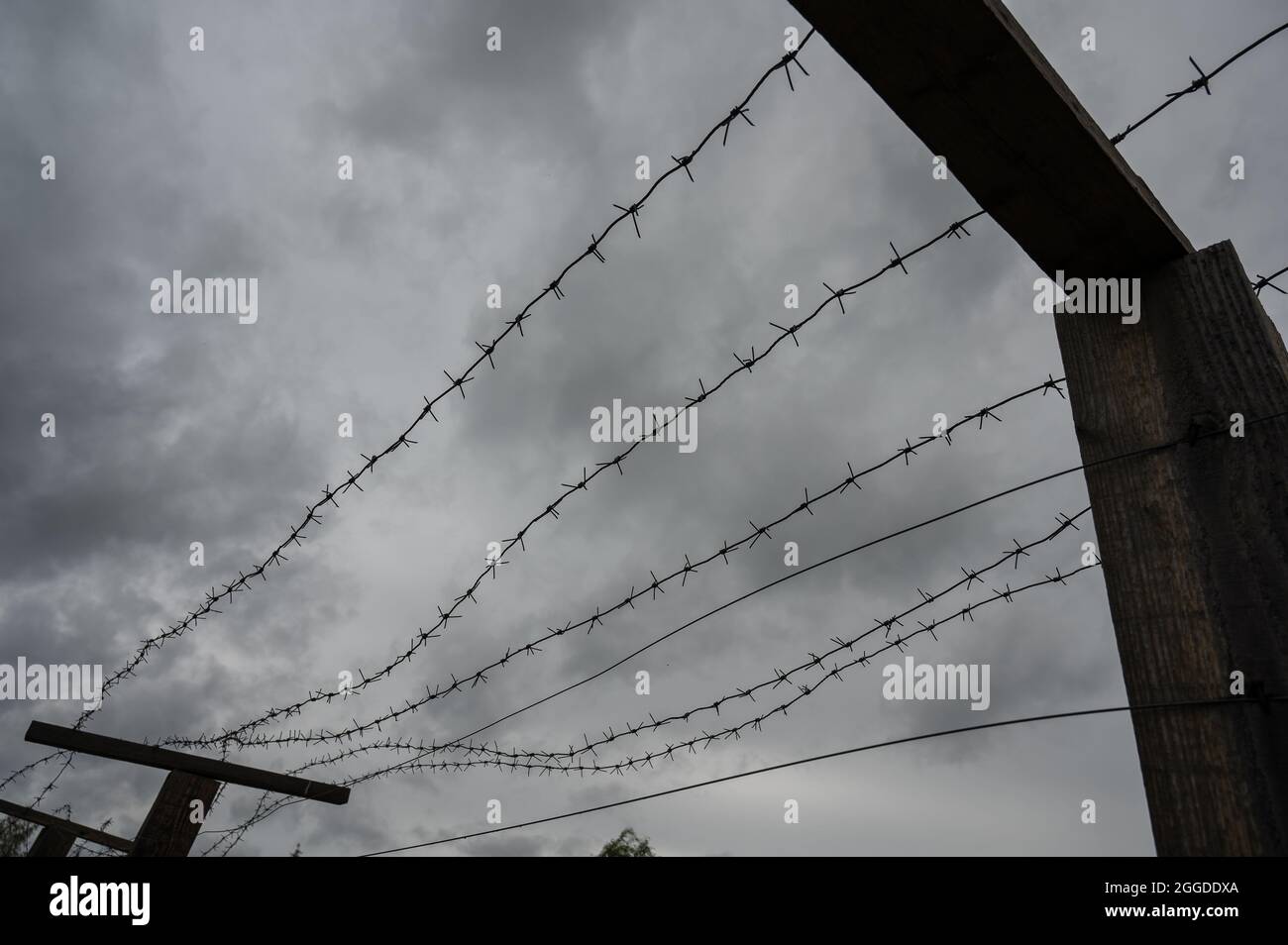 Close-up of barbed wire on gray clouds background Stock Photo - Alamy
