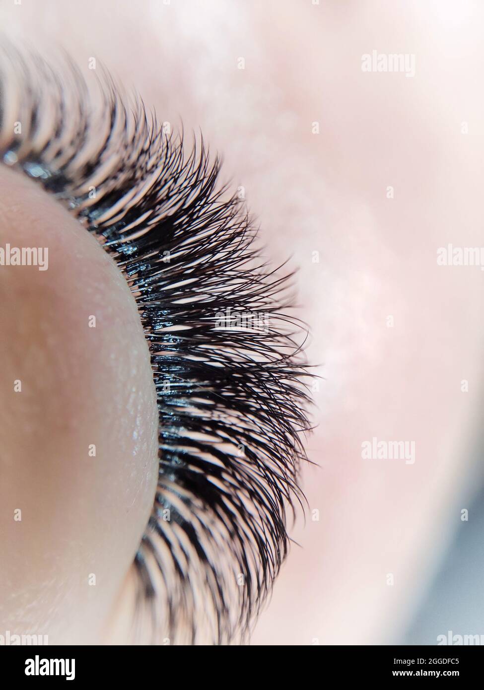 Lash extensions in beauty salon macro eye top view Stock Photo - Alamy
