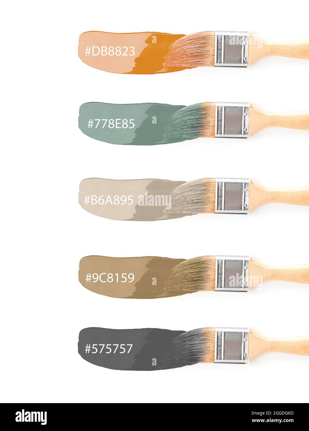 Many brushes and samples of paint strokes on white background Stock ...