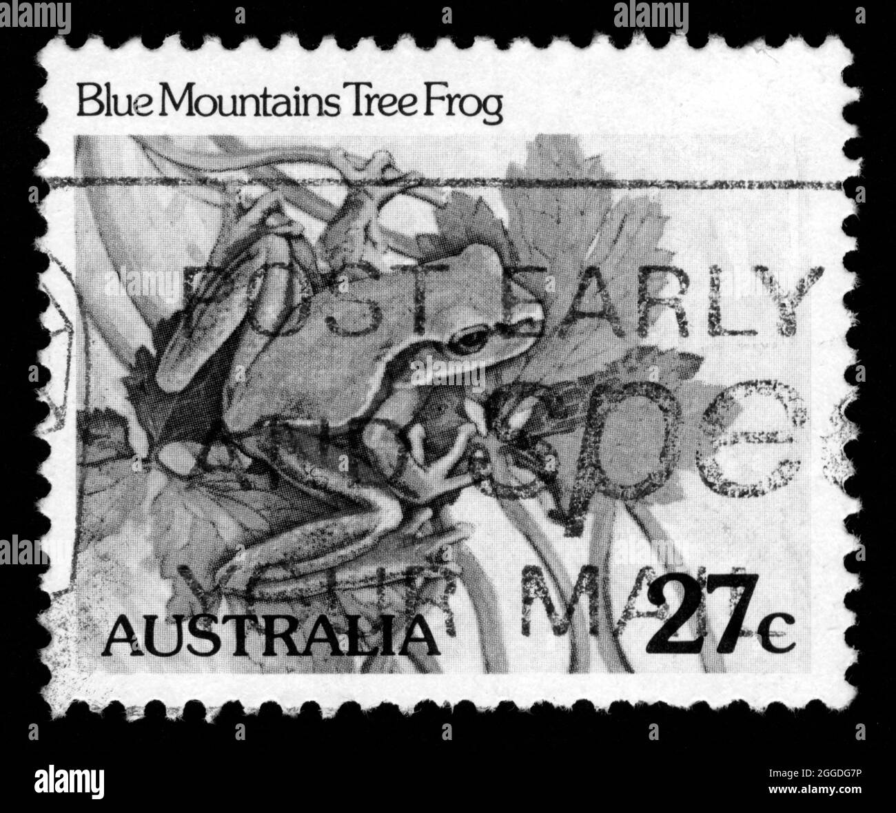 White flog hi-res stock photography and images - Alamy