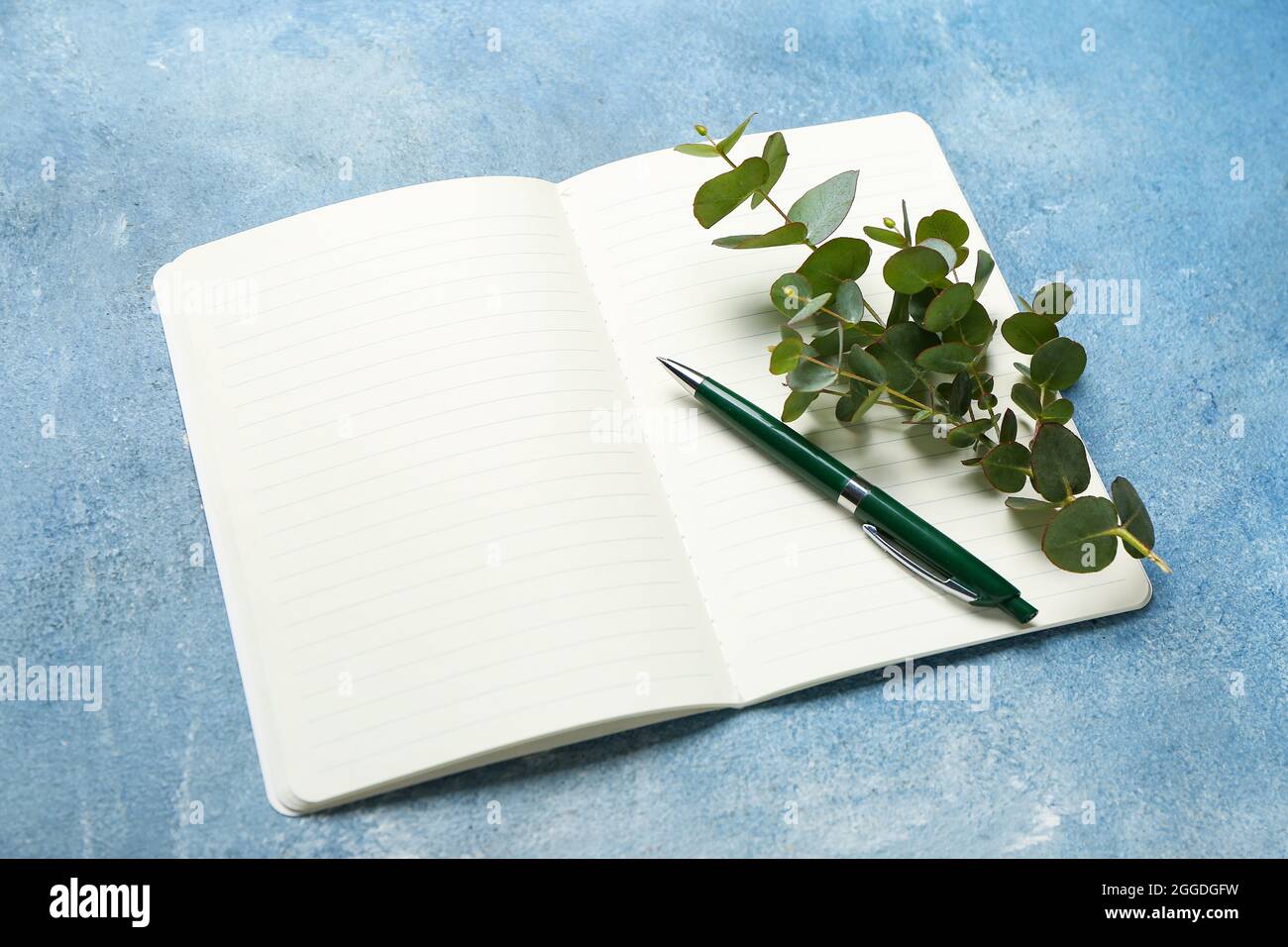Open notebook, pen and eucalyptus branch on color background Stock ...