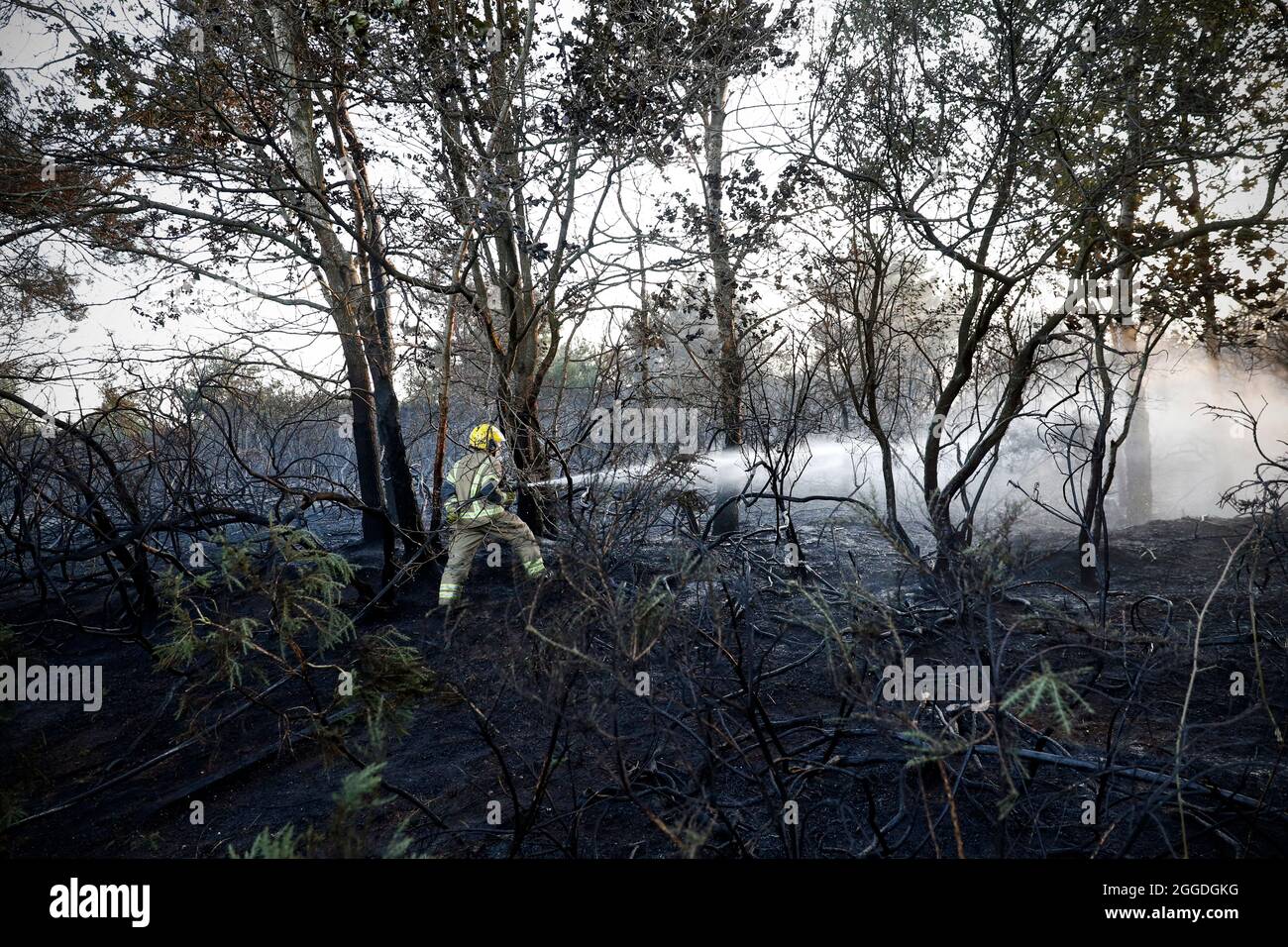 Hampshire Fire And Rescue Service High Resolution Stock Photography and ...