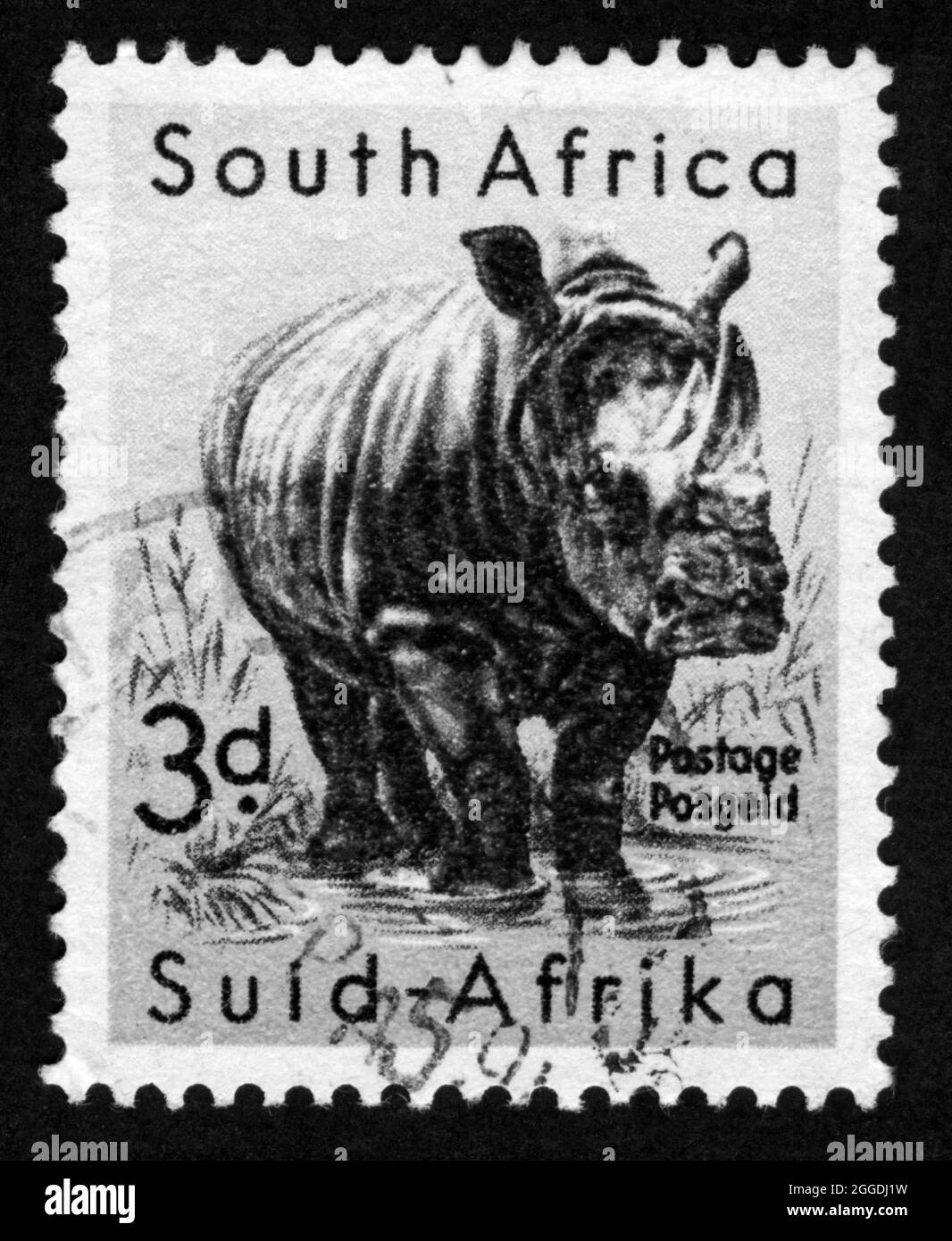 Old south africa postage stamp Black and White Stock Photos & Images ...