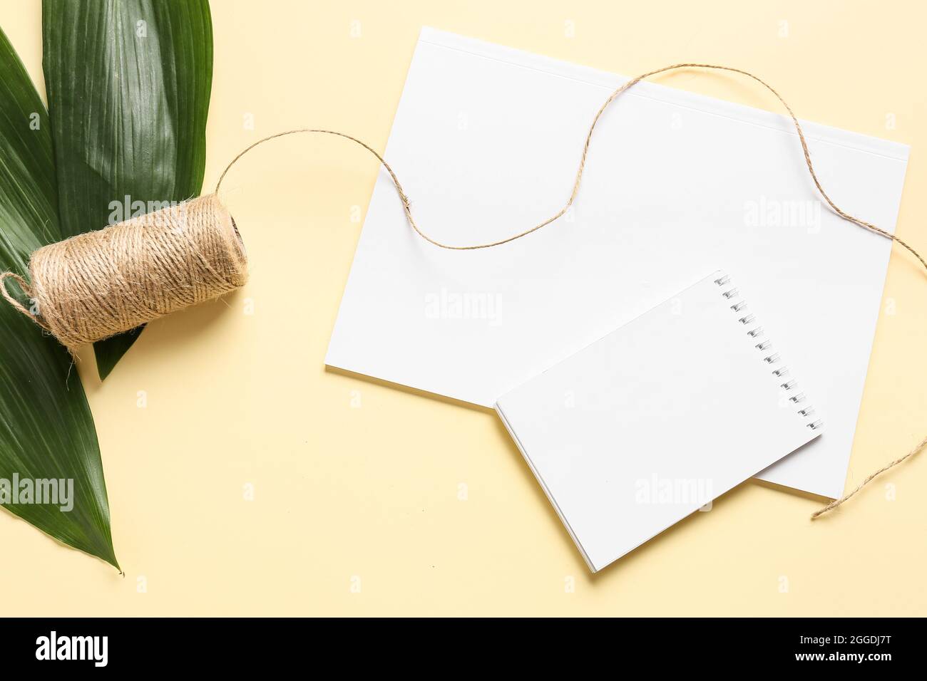 Composition with blank notebook, book, rope and green leaves on color ...