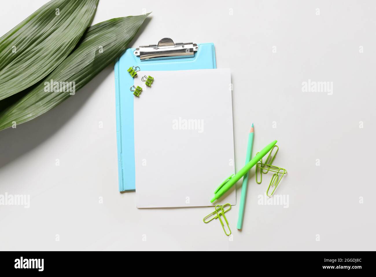 Composition with blank sheet of paper, stationery and green leaves on ...