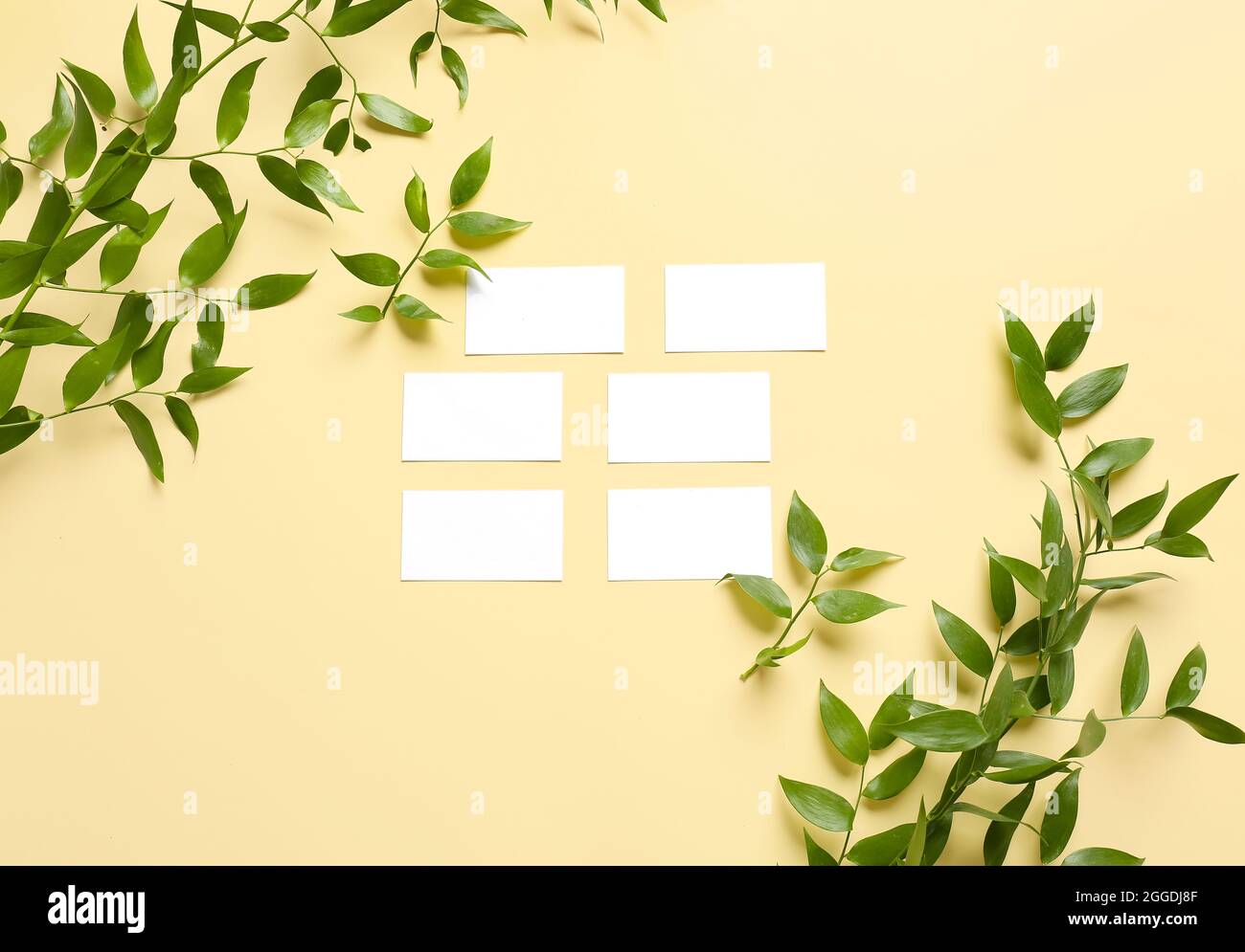 Composition with blank cards and plant branches on white background ...
