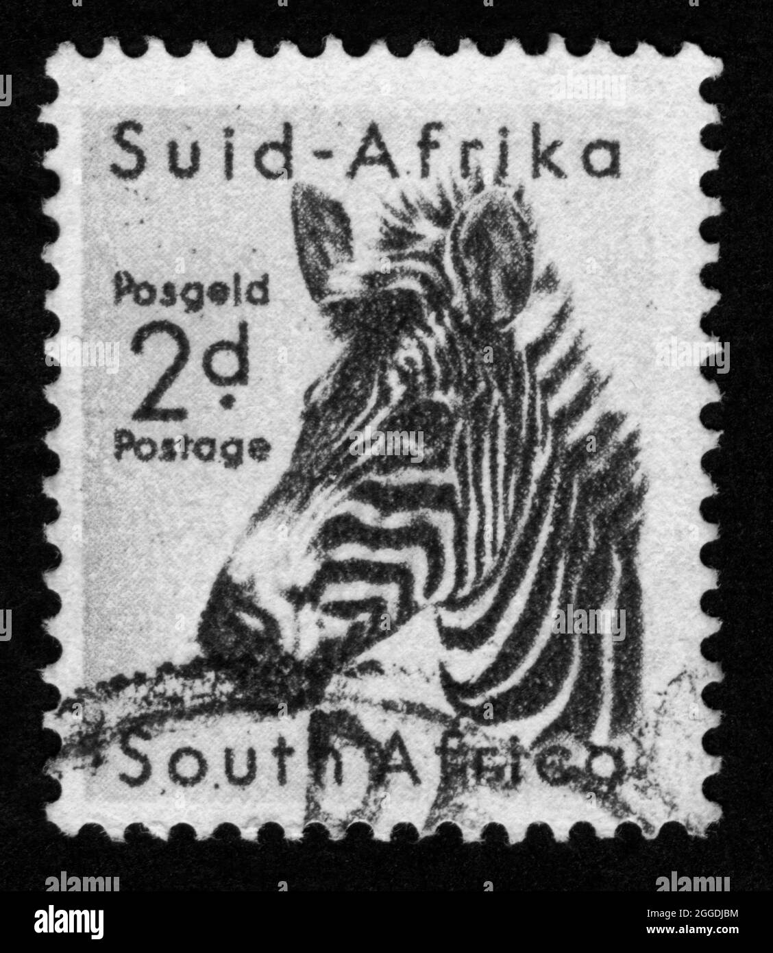 Old south africa postage stamp Black and White Stock Photos & Images ...