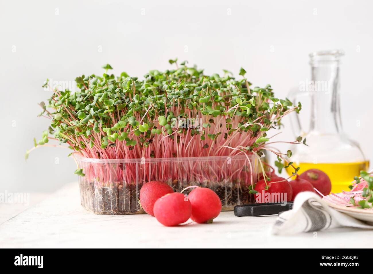 Plastic container with fresh micro green and radish on light background ...