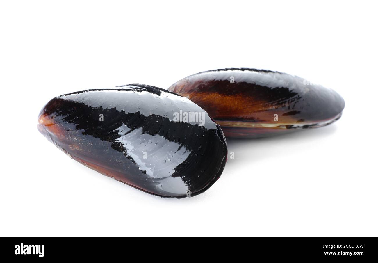 Fresh mussels on white Cut Out Stock Images & Pictures - Alamy