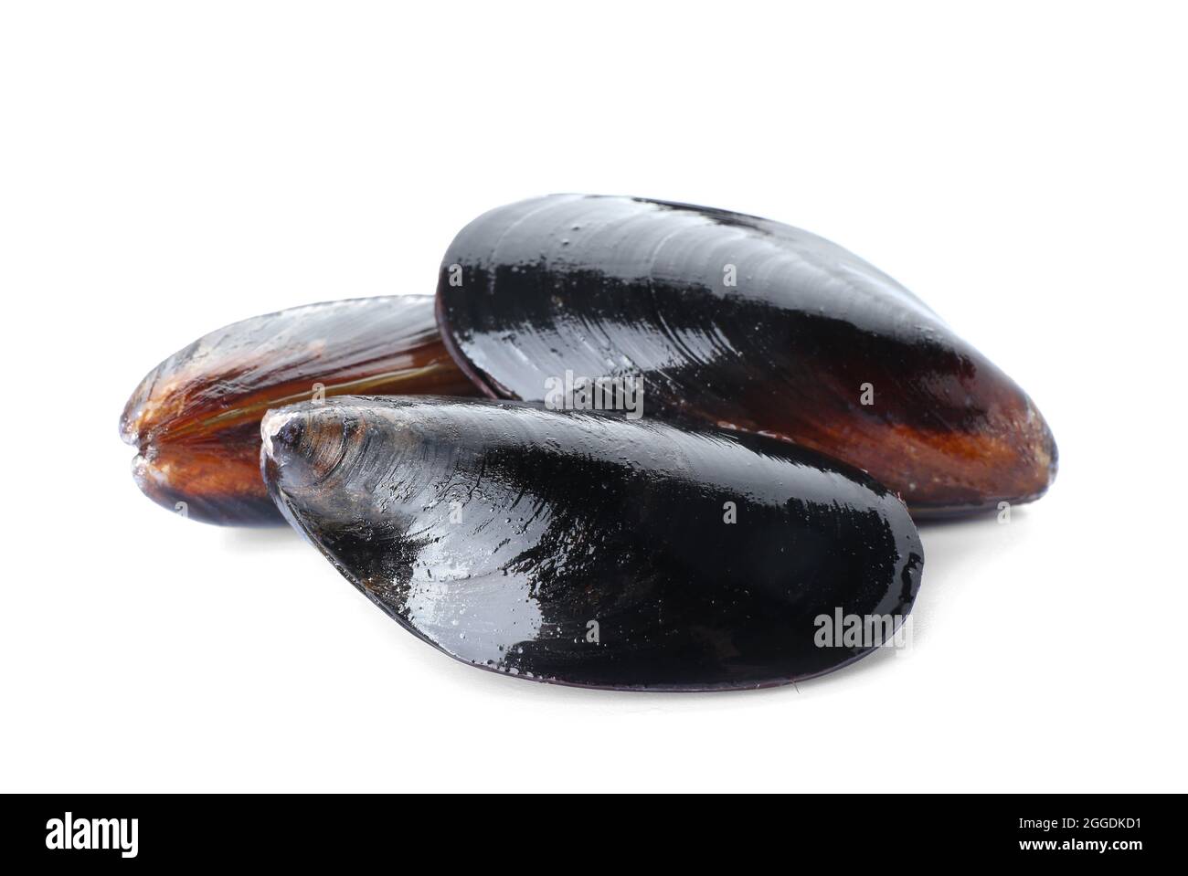 Fresh mussels on white Cut Out Stock Images & Pictures - Alamy