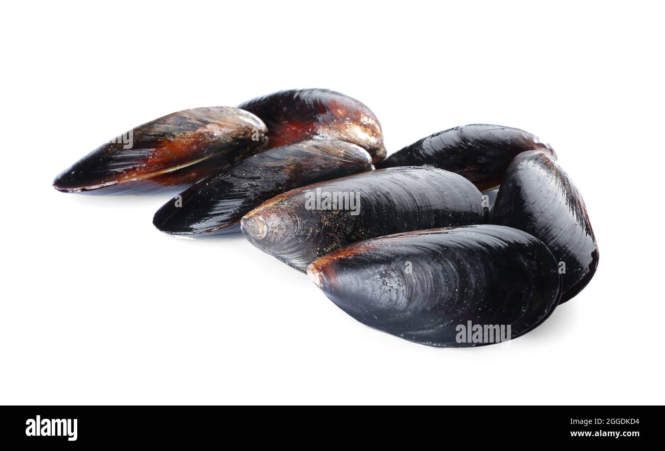 Fresh mussels on white background Stock Photo - Alamy