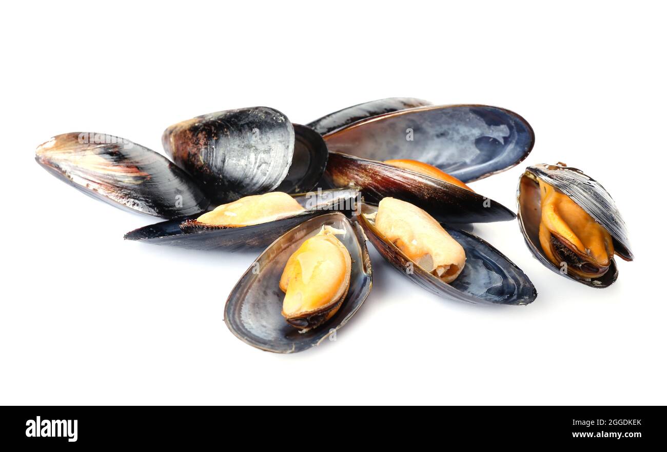 Raw mussels on white background Stock Photo - Alamy
