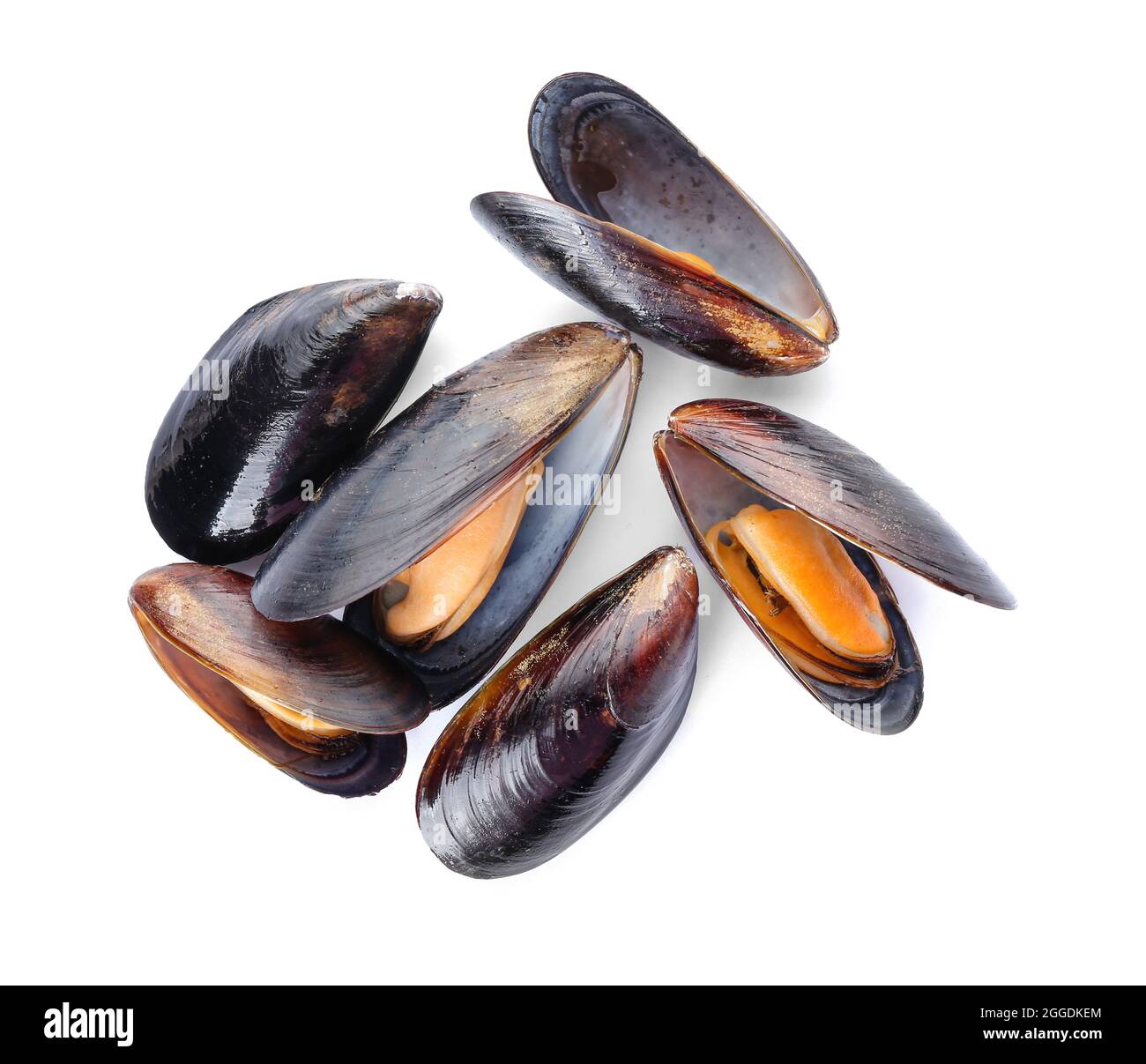 Raw mussels on white background Stock Photo - Alamy