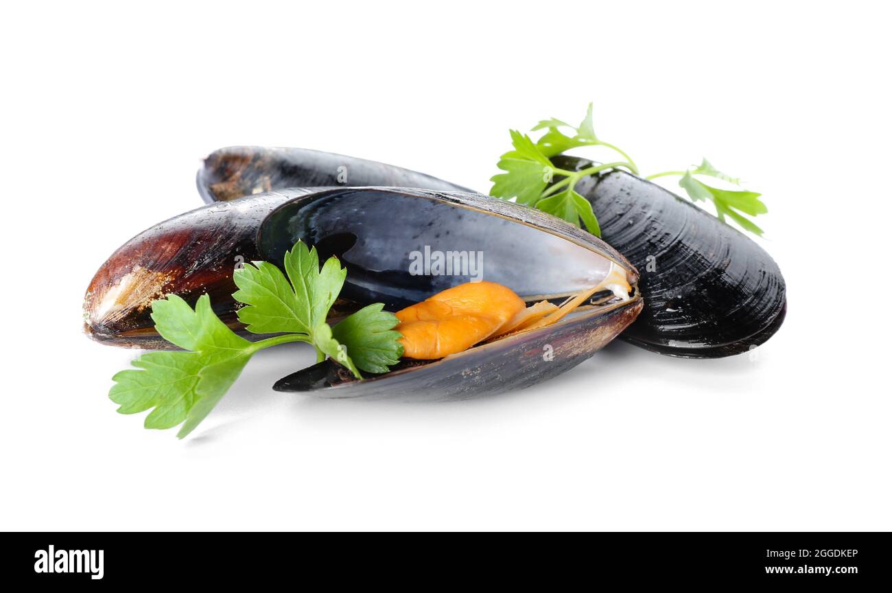 Pile of mussels Cut Out Stock Images & Pictures - Alamy