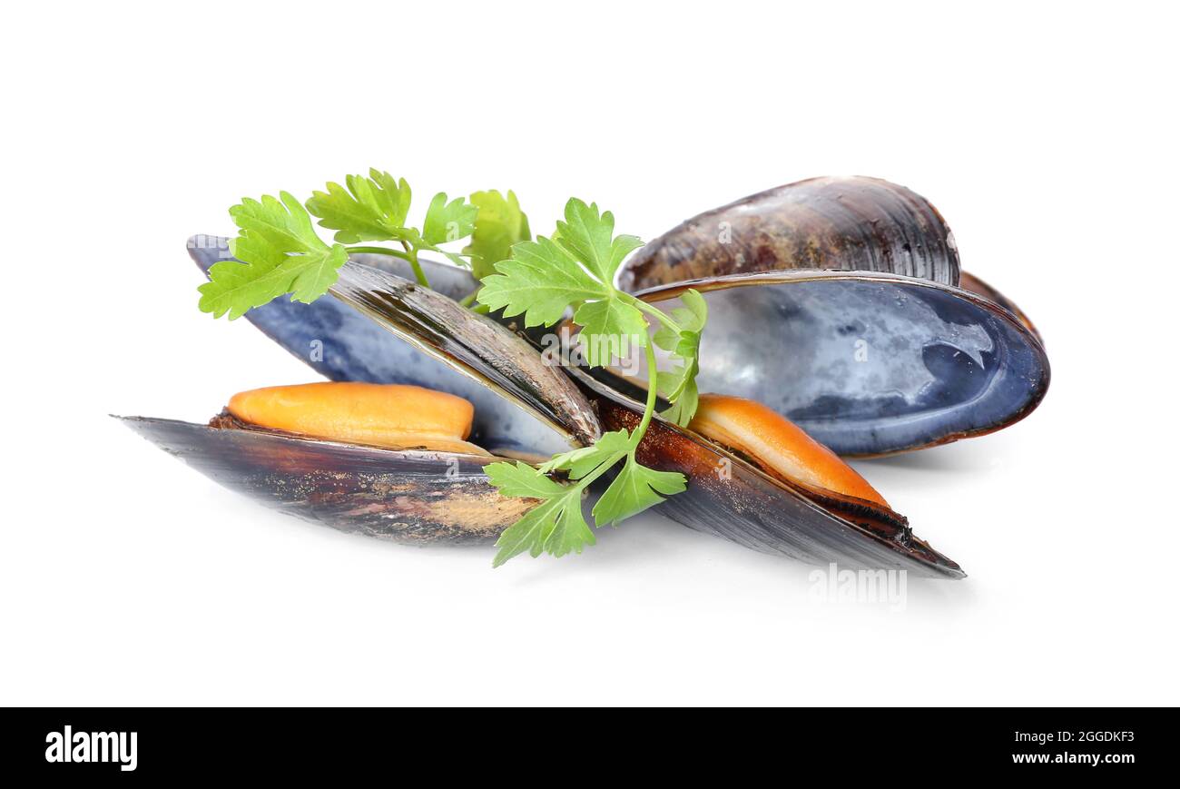 Raw mussels on white background Stock Photo - Alamy