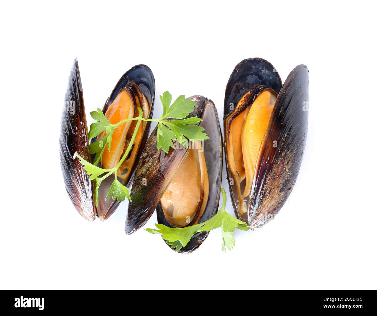 Raw mussels on white background Stock Photo - Alamy