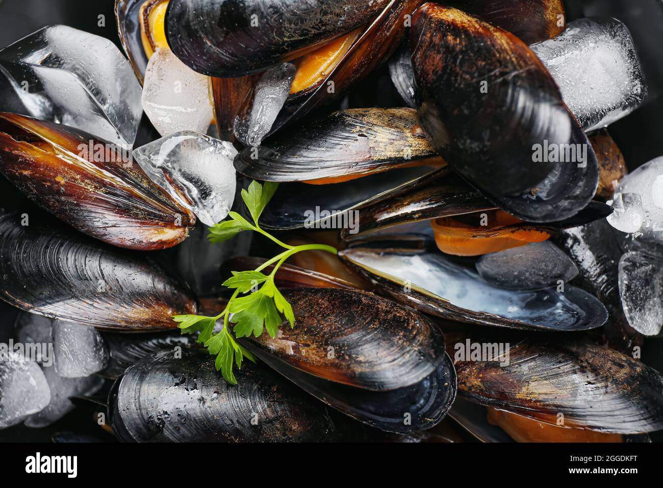 Raw mussels as background, closeup Stock Photo - Alamy