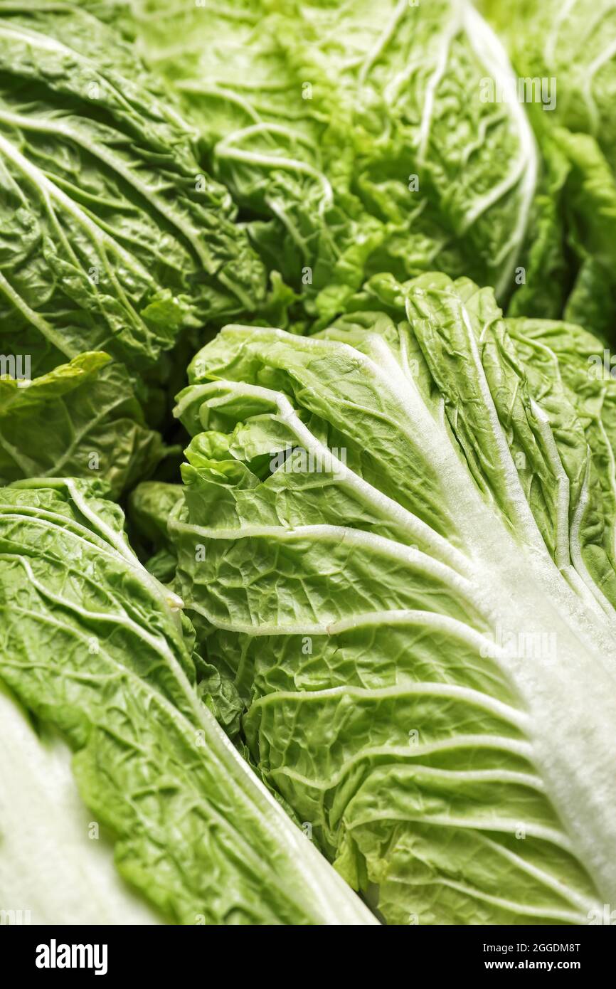 Fresh chinese cabbage as background, closeup Stock Photo - Alamy